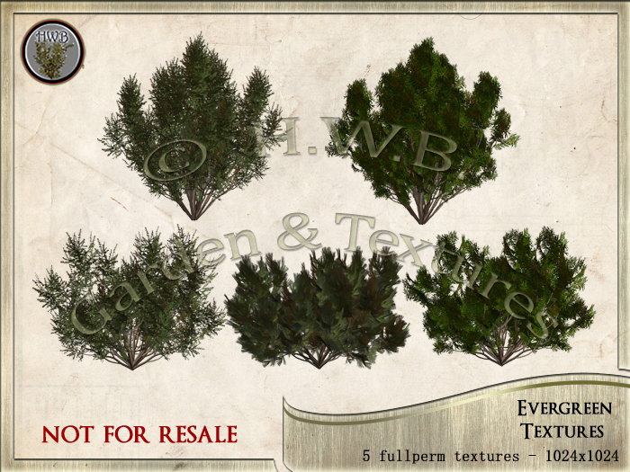 Second Life Marketplace - Evergreen Textures